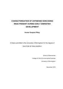 UBIRA ETheses - Characterisation of antisense non-coding RNAs during early zebrafish development